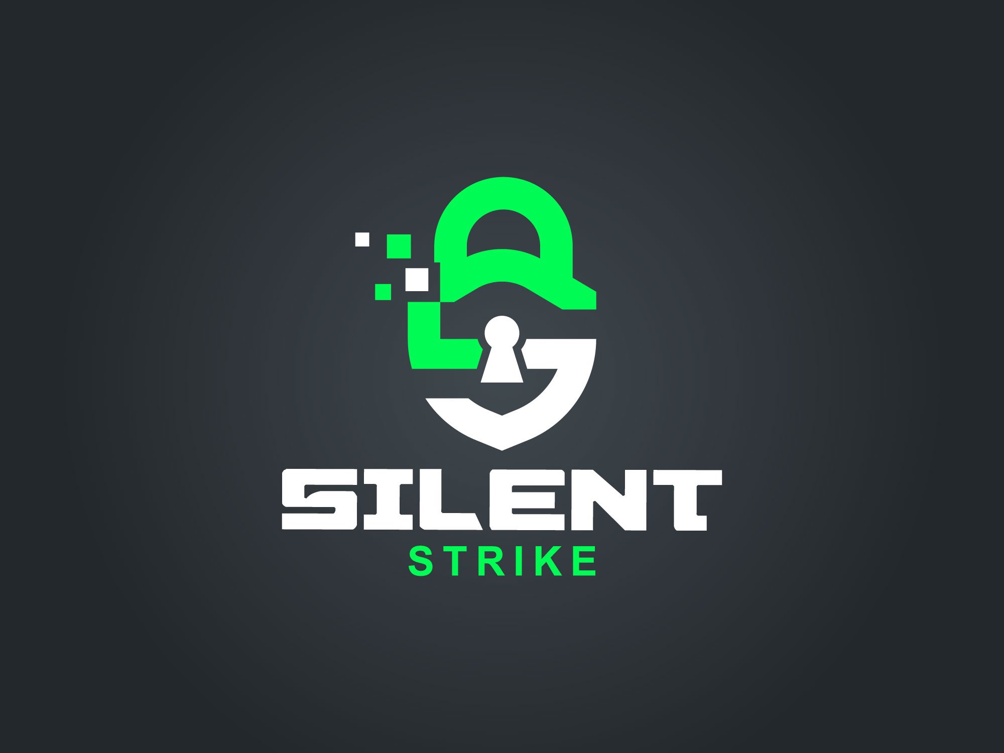 SilentStrike Blog